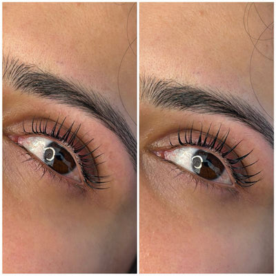 Bored Brows - Black Lash Serum – Boredbrows